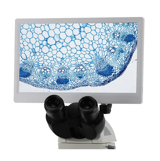 5.0MP LCD Digital Microscope Camera (QXM-ERA622) – QUANTIX Equipment